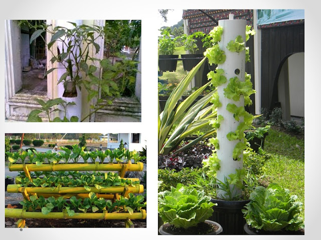 Cara bertanam dengan Vertikultur - BIOSAINS