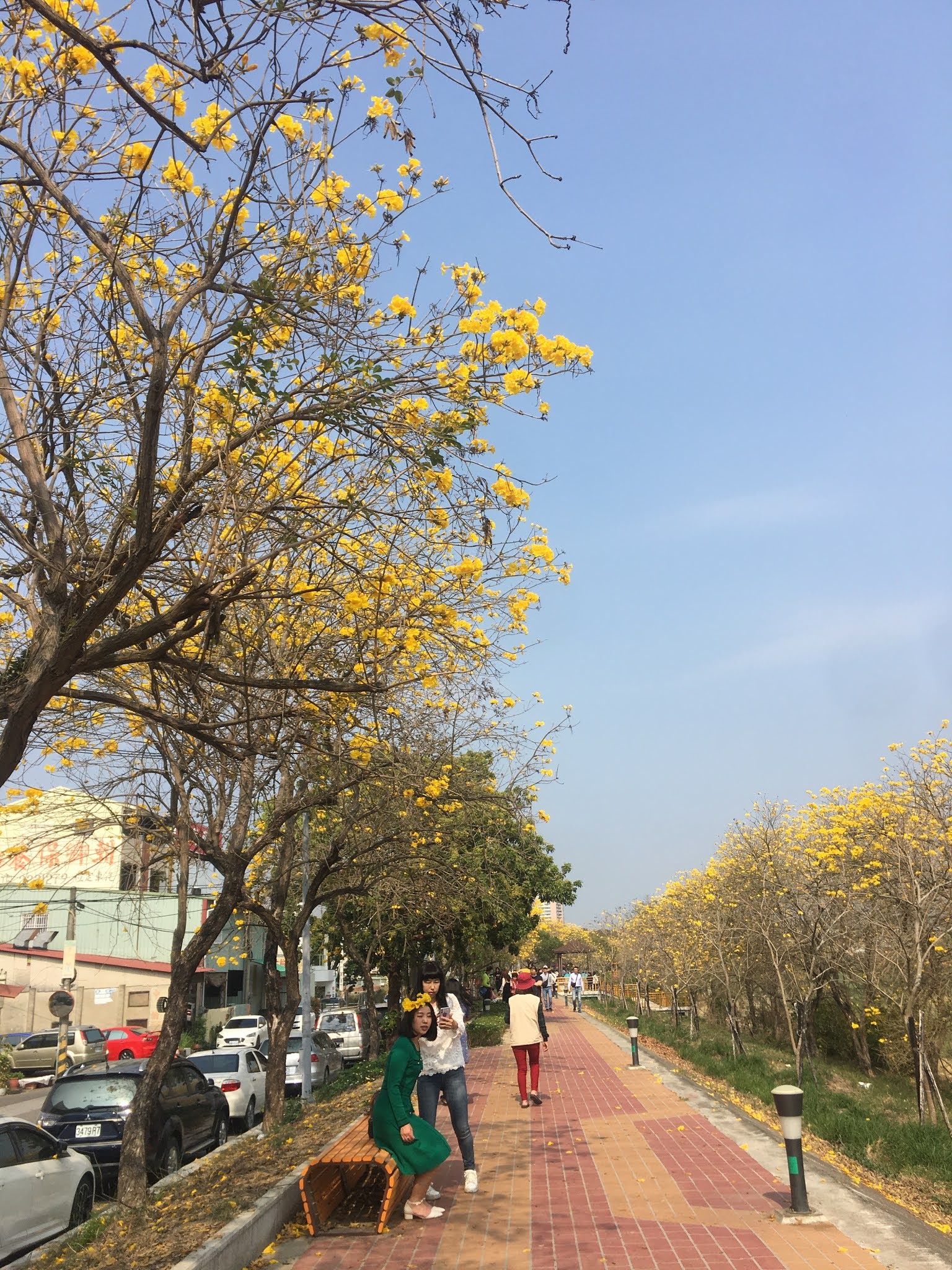 Flowers of Bazhang River ~ My Life Abroad