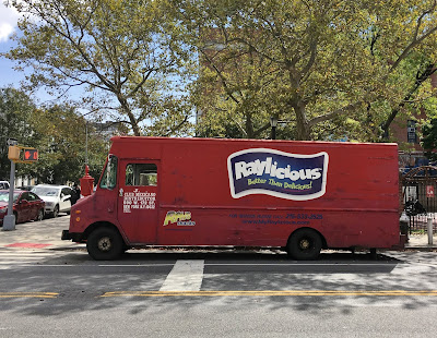 One More Folded Sunset: Raylicious