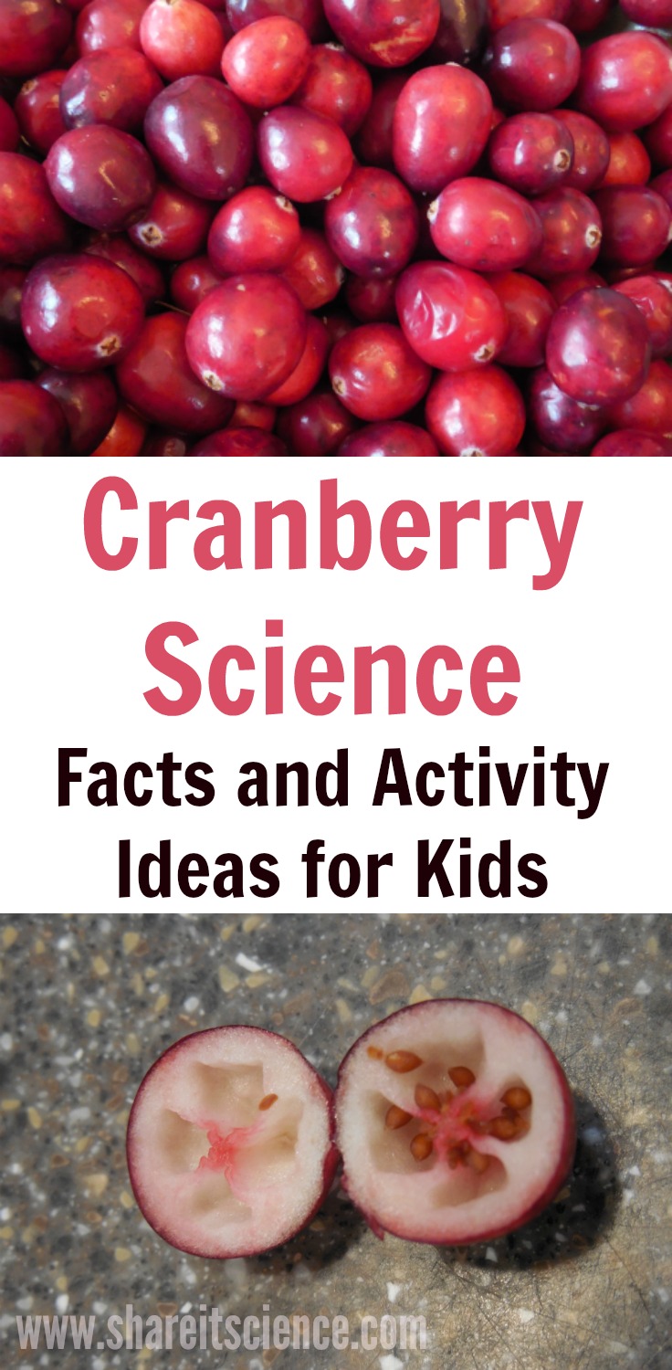 Share it! Science : Thanksgiving Tidbit: Cranberry Science!