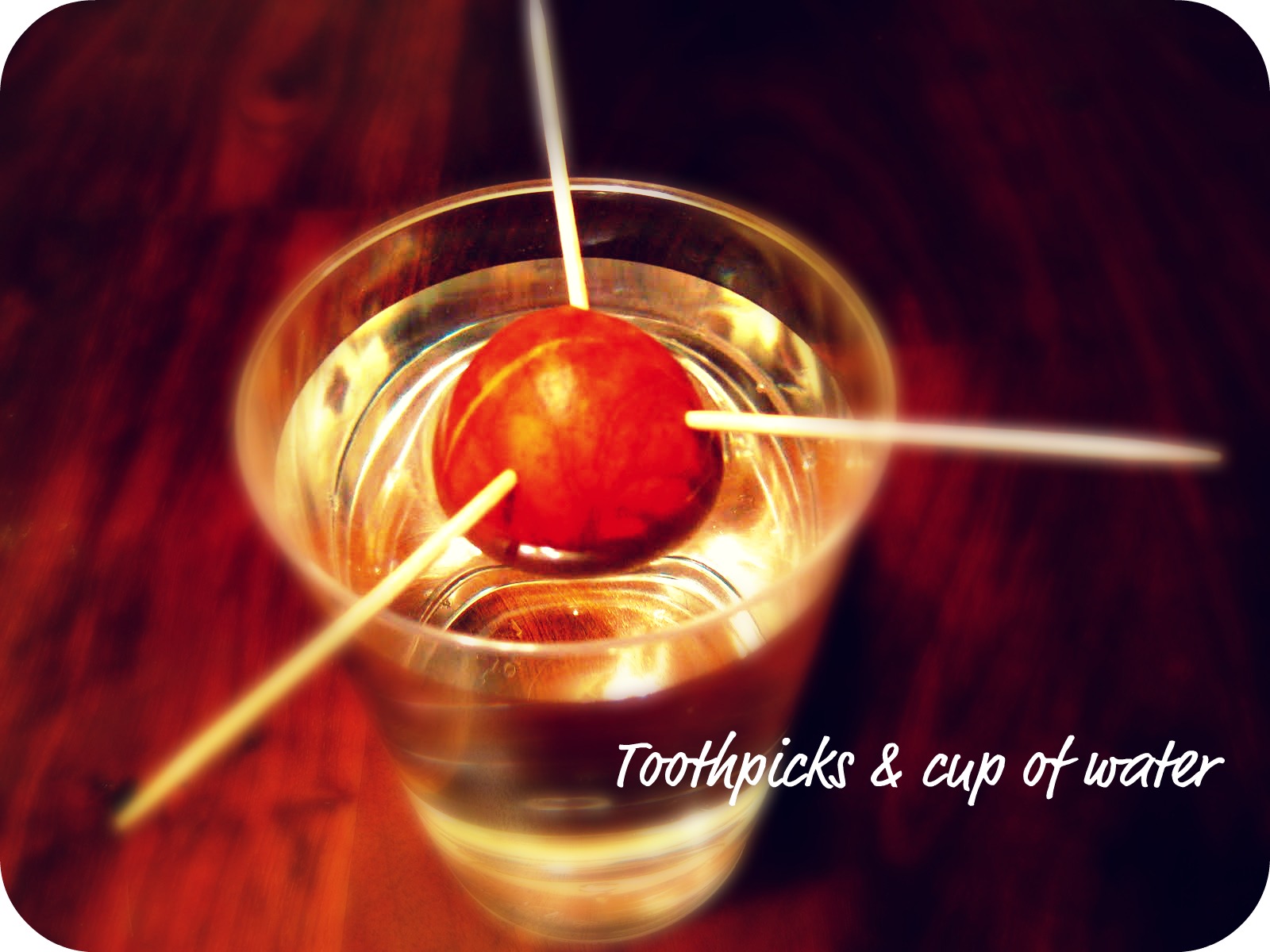 BEAUTIFUL BLENDINGS: how to grow an avocado.