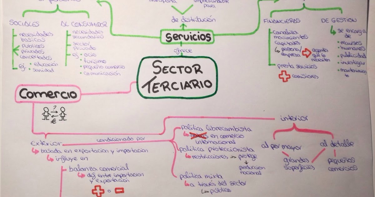 Sector Terciario Xmind Mind Mapping Software - vrogue.co Sector Terciario Xmind Mind Mapping Software - vrogue.co