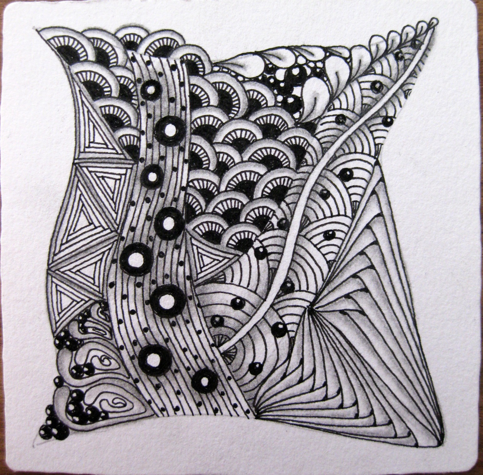 Claudia's World of Zentangles