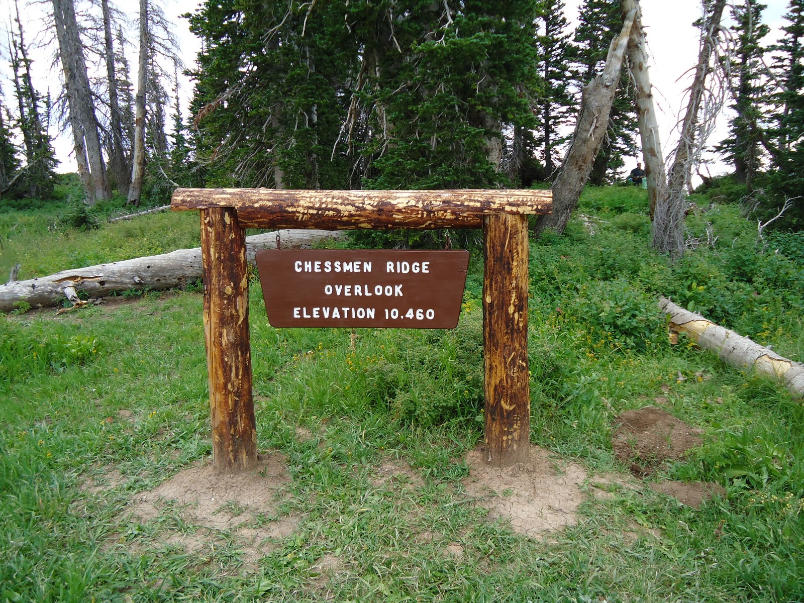 Peg in the Park: Cedar Breaks National Monument