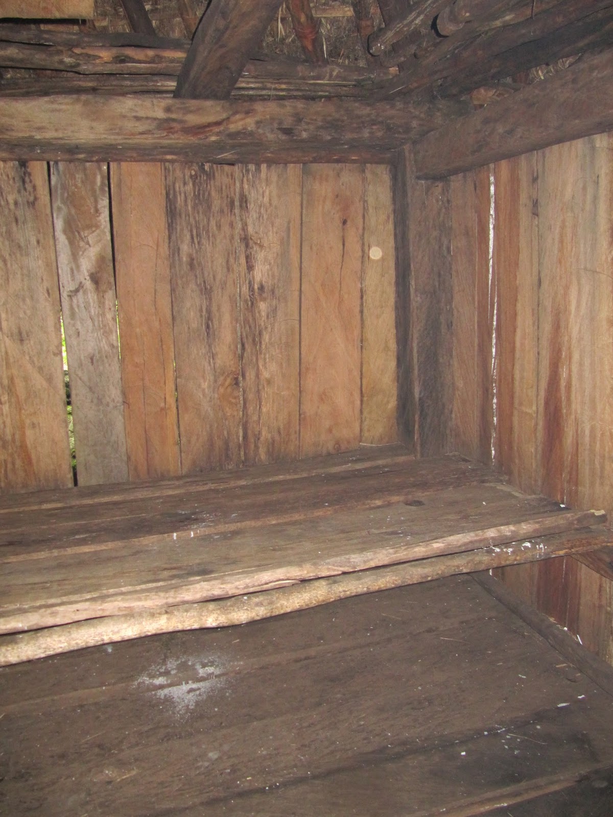 Laura in Dili: Eh, Foho Ramelau...