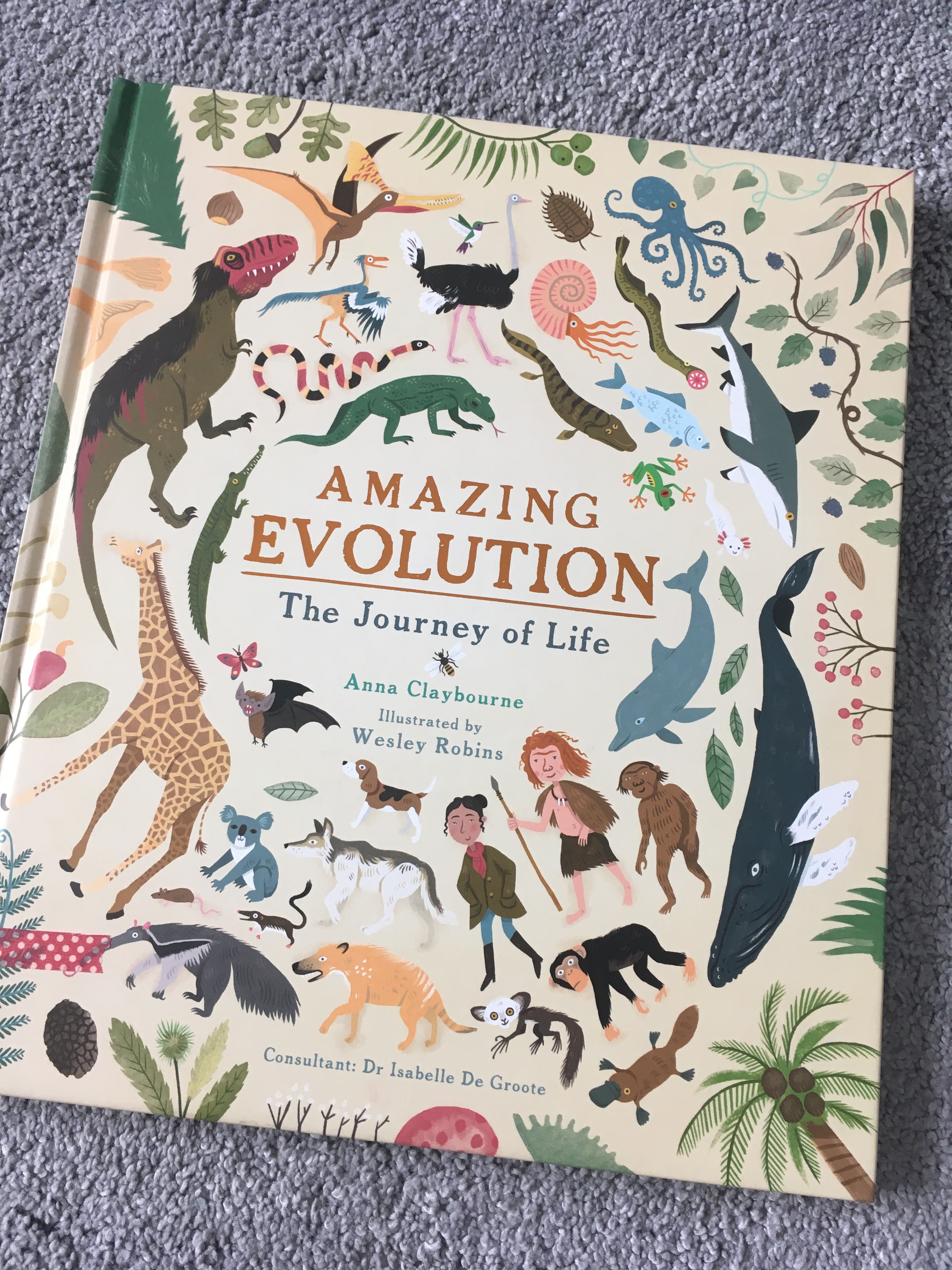 Amazing Evolution The Journey of Life - Anna Claybourne