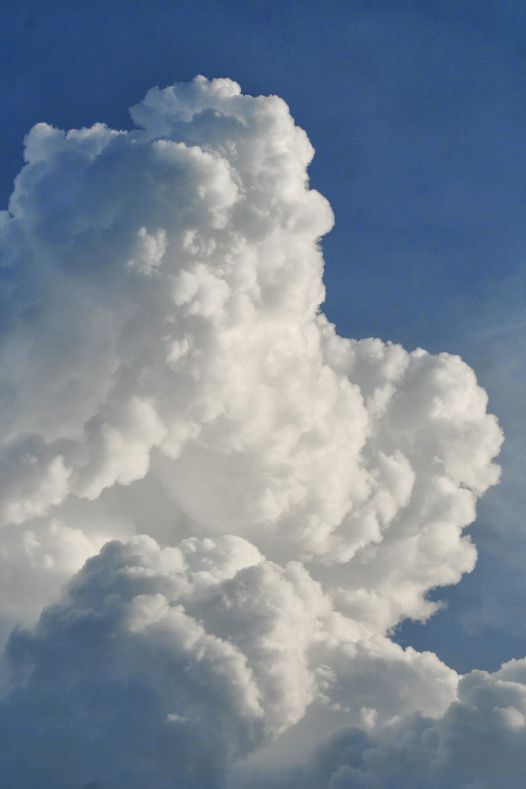 L'art et la nature sous toutes leurs formes: Nuages