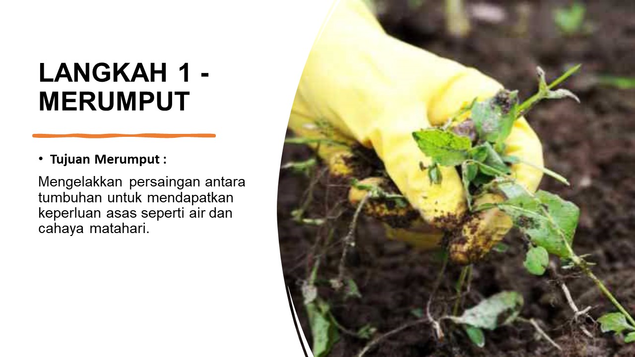 REKA BENTUK DAN TEKNOLOGI: Penjagaan Tanaman