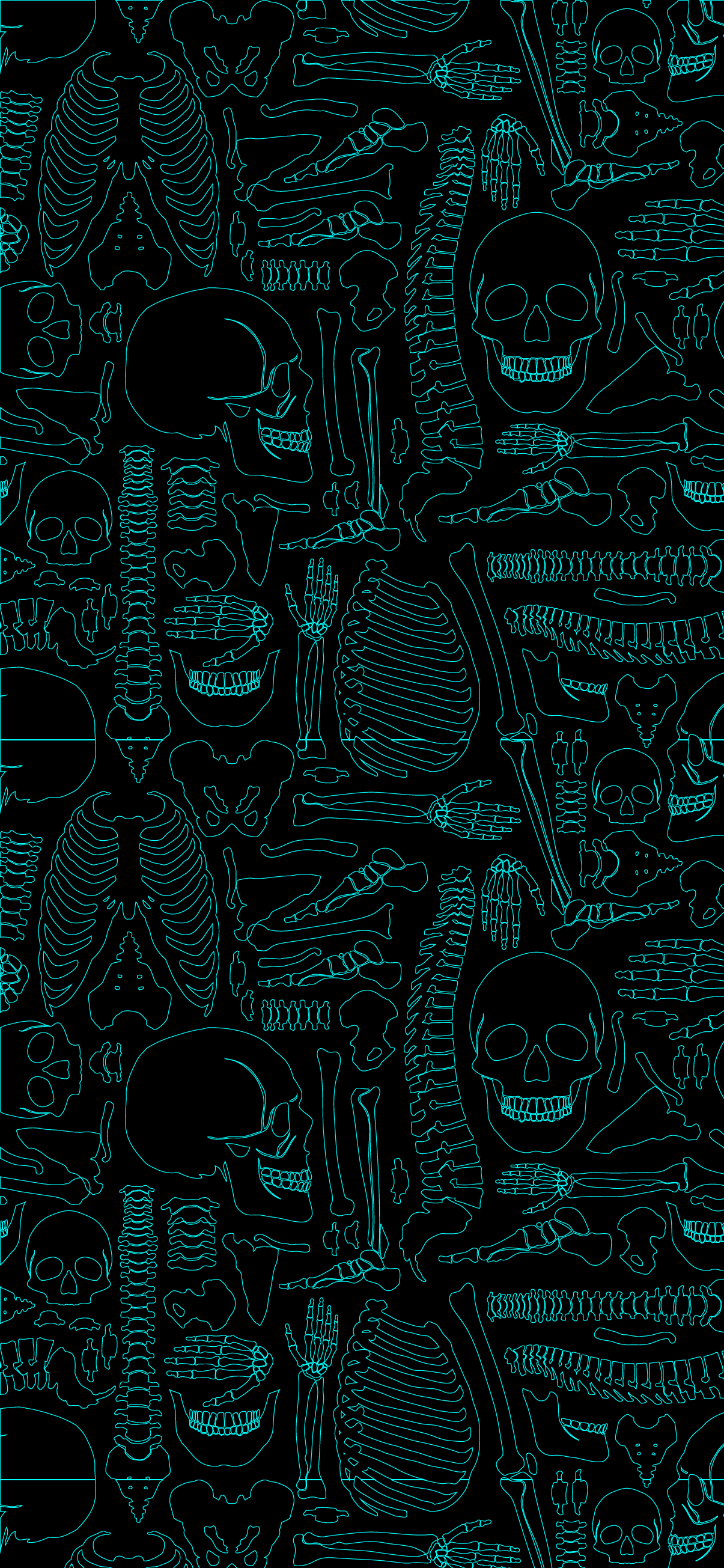 Human Skeleton Wallpaper