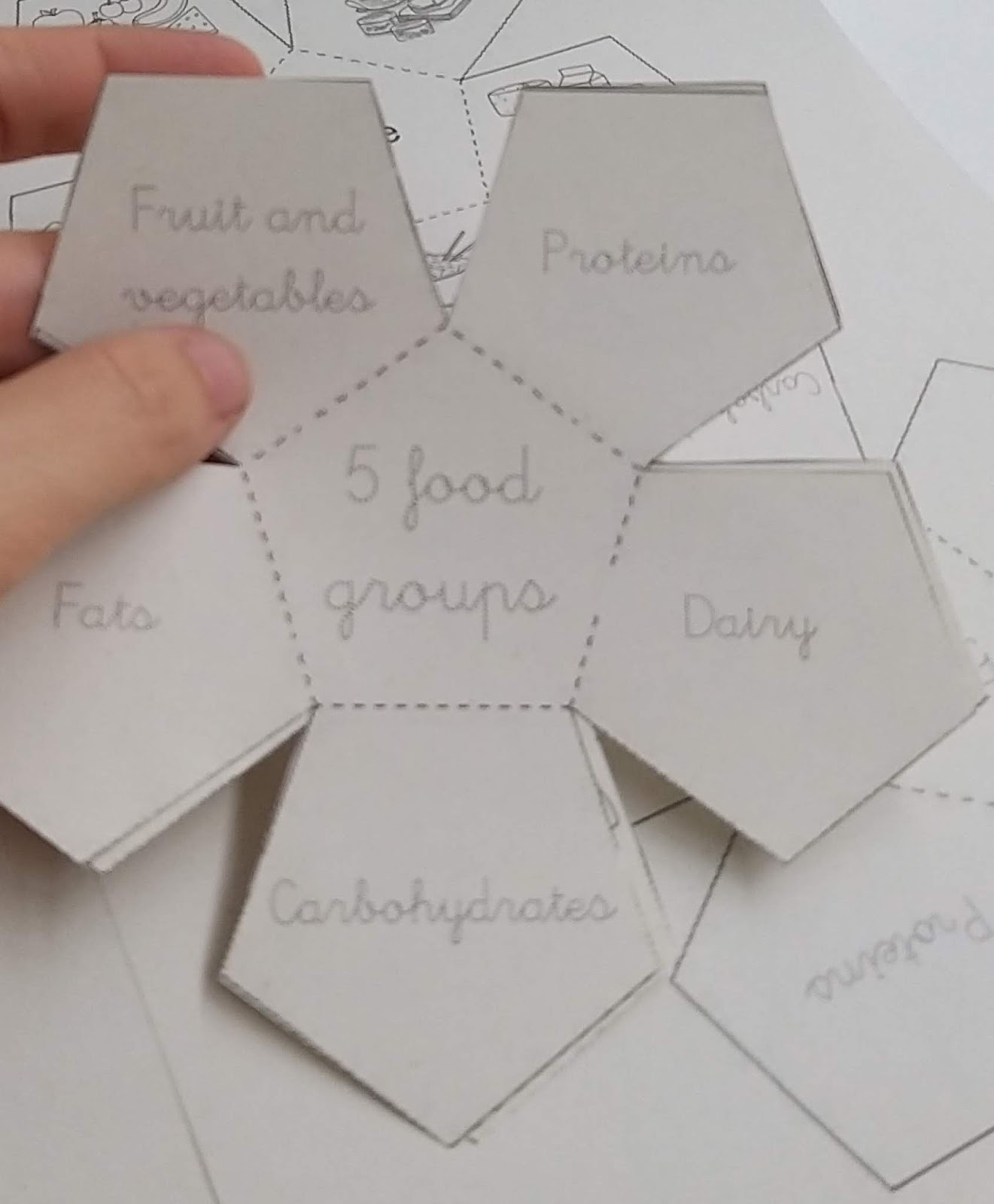 Learning with Teacher Noelia: Foldable. 5 food groups. Natural Science