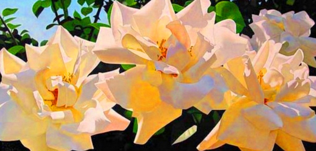 El arte es su máxima expresión : Cuadros de rosas pintadas al óleo