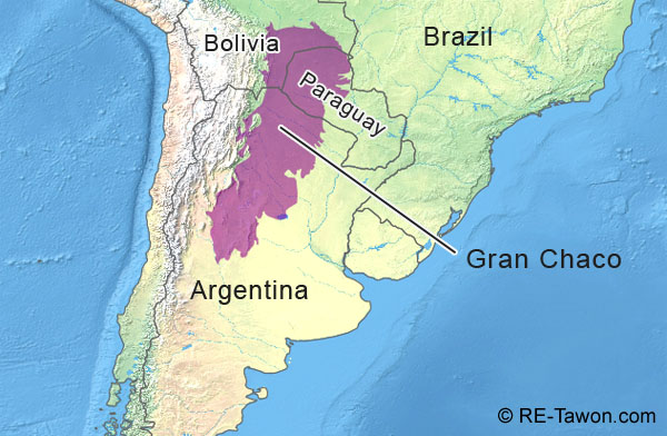 Perang Chaco, Sengketa Maut di Jantung Amerika Selatan | RE Tawon