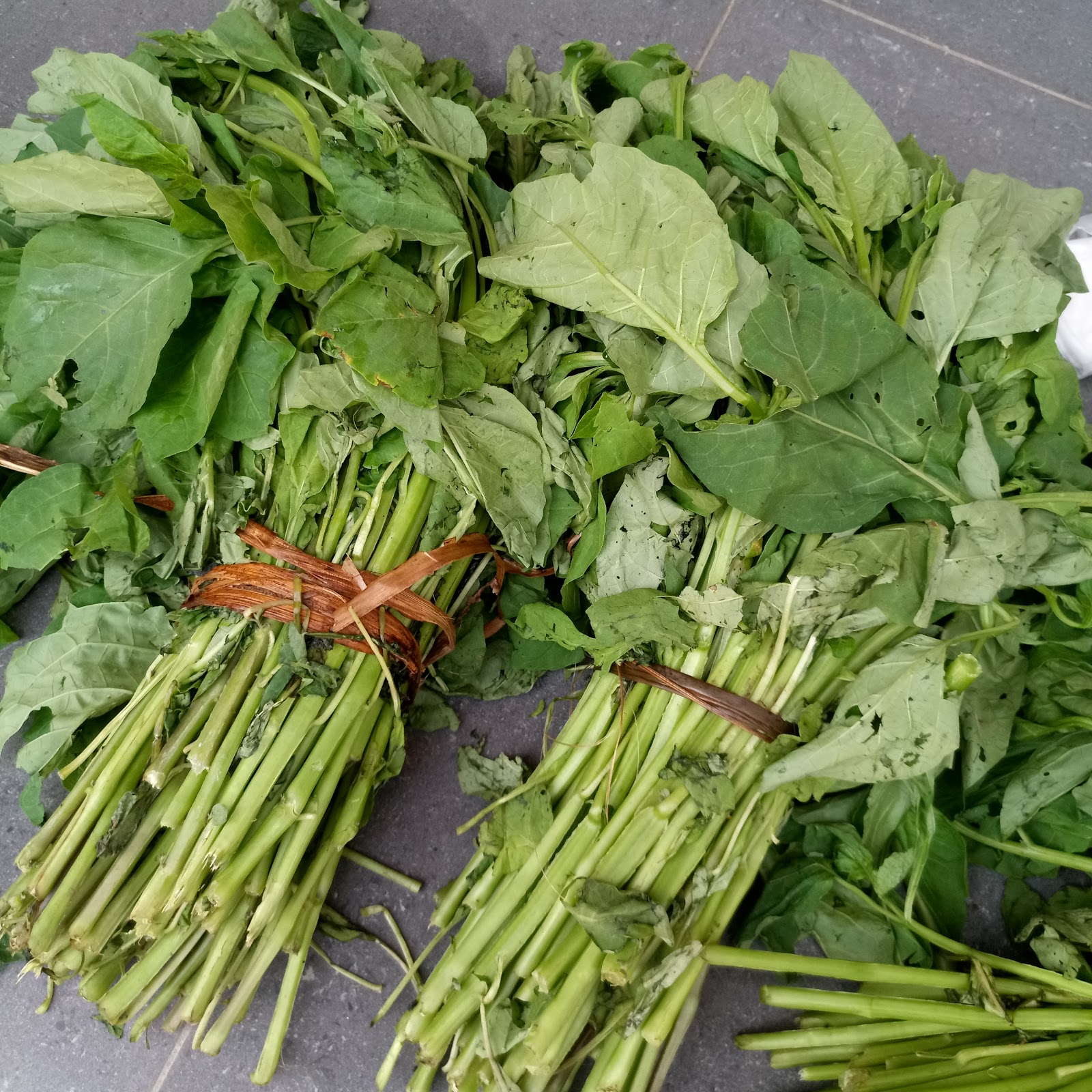 vegetable, huckleberry leaves, fresh, raw, green