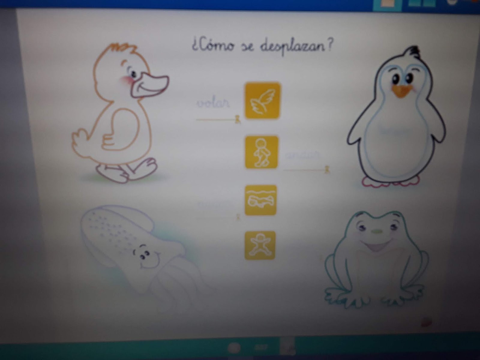 infantilcsa: " Mis amigos Los Animales" - 5 AÑOS - (11 a 15 de MAYO)