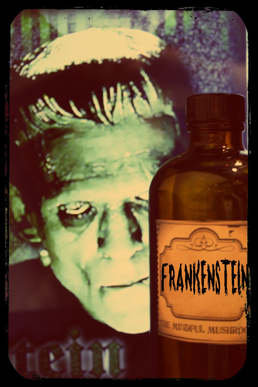 TheMindfulMushroomProducts: Hand Blended Oils