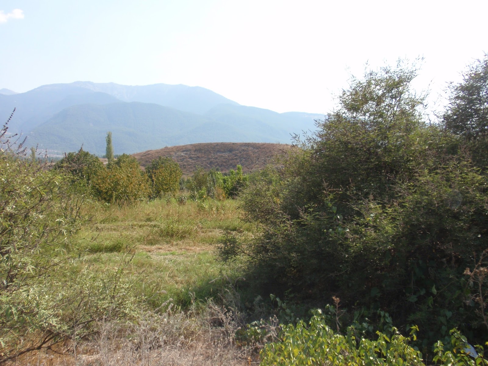 Covered in His Dust: COLOSSIANS: Gnostic Heresy