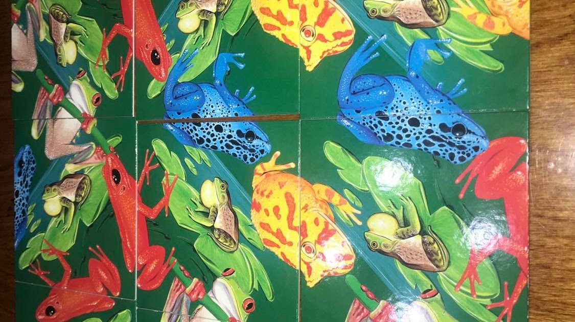 The "Secret" is Gratitude: "Scramble Square" Frogs and Birds Puzzles ...