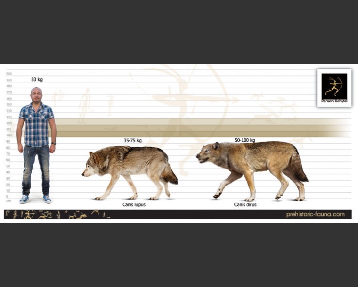 Escenarios prehistóricos: Canis dirus