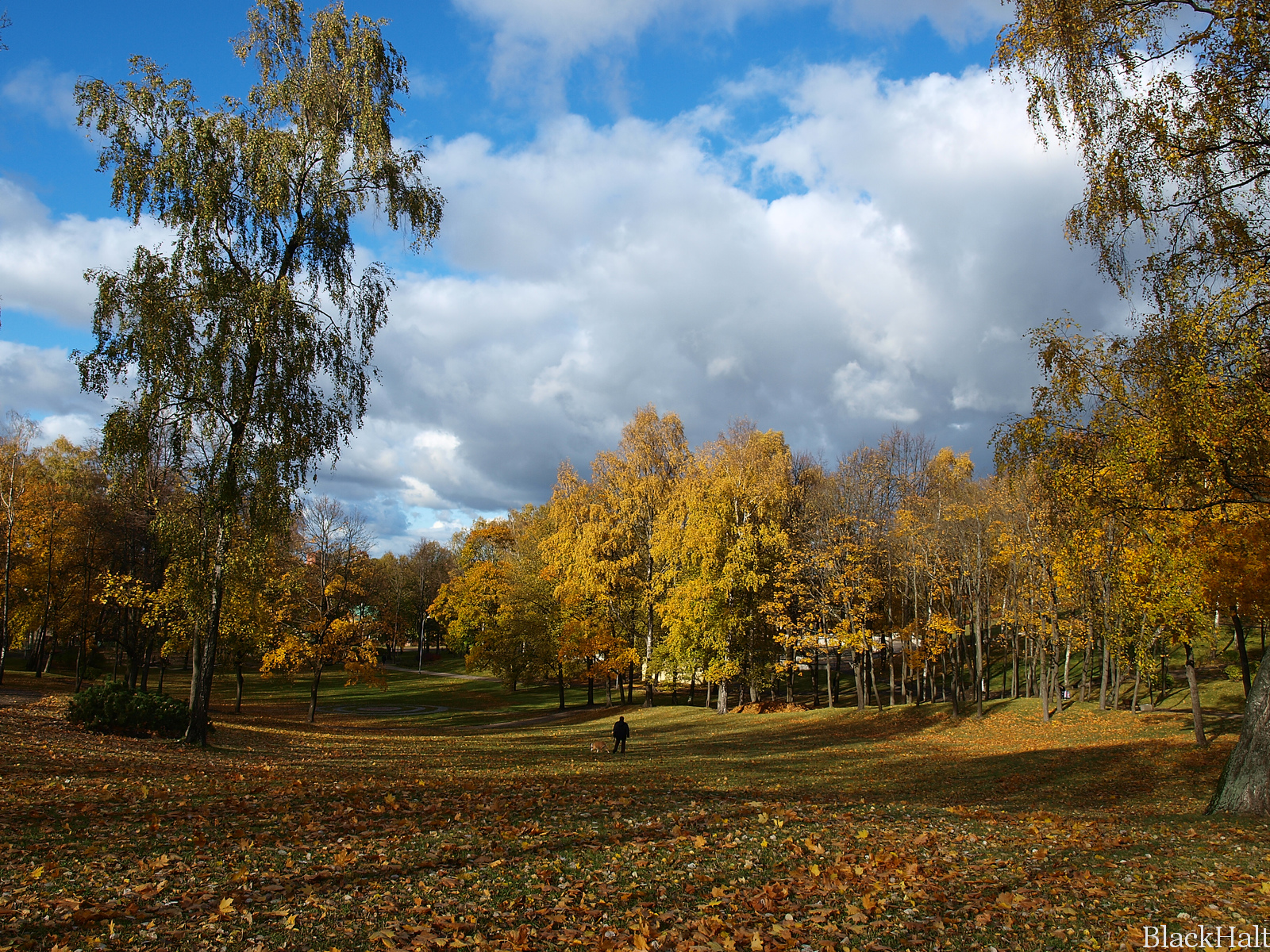 Rudens 2 - PhotoBlogSite