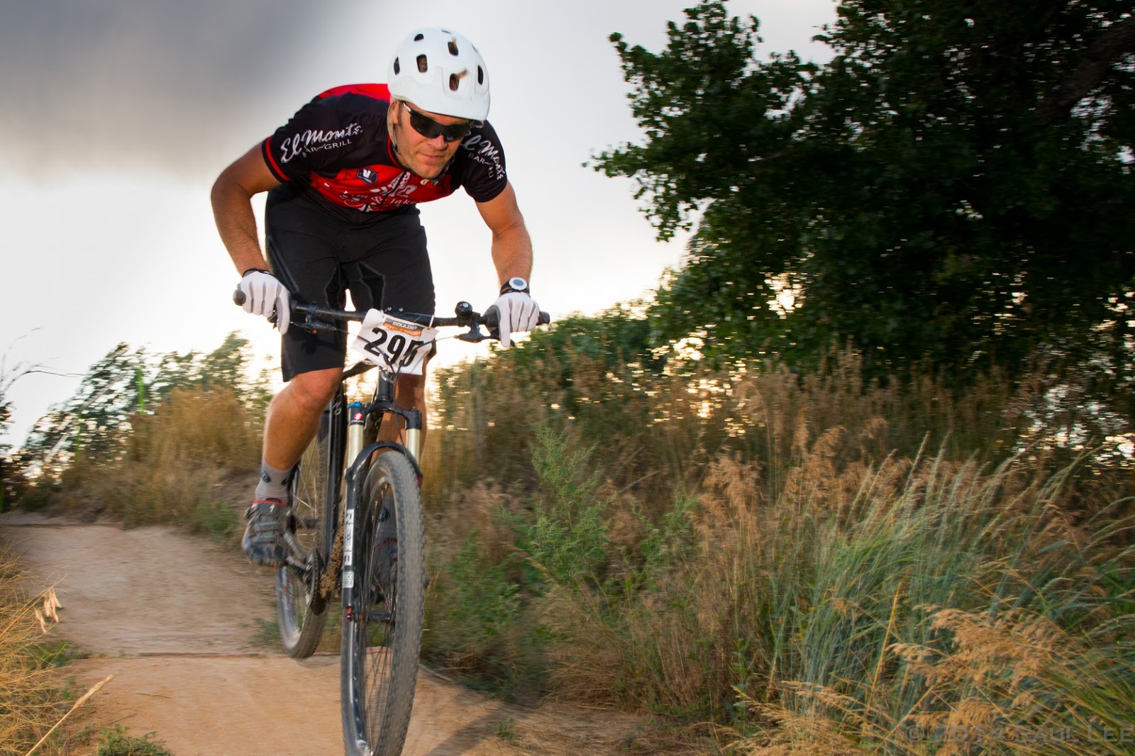 Green Bird: The IRO Has New Life