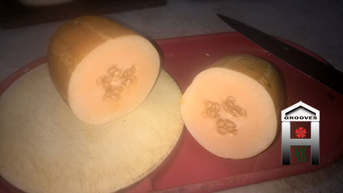 My Mash Melon (Chibud) Story