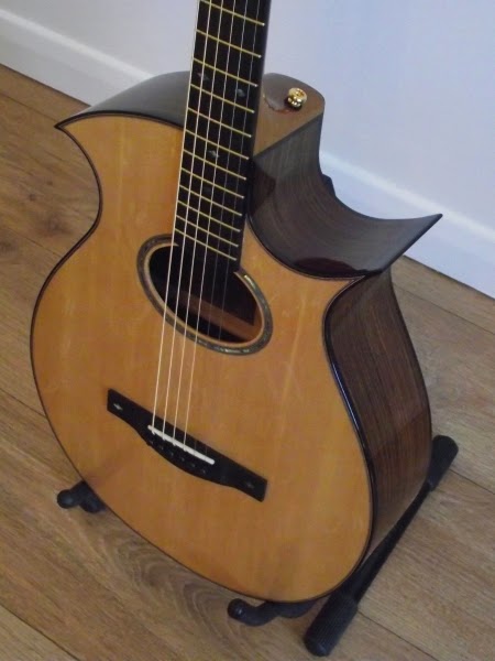 A Luthier's Blog: Ian’s Model 2 guitar completed