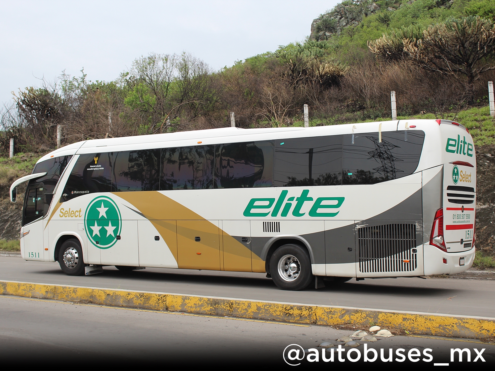 AYCAMX - Autobuses y Camiones México : Autobuses Foráneos 550. Elite