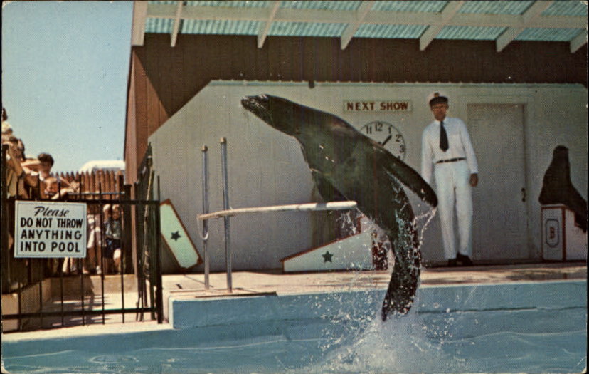 The Circus "NO SPIN ZONE": Ghost Zoo--Benson's Wild Animal Farm