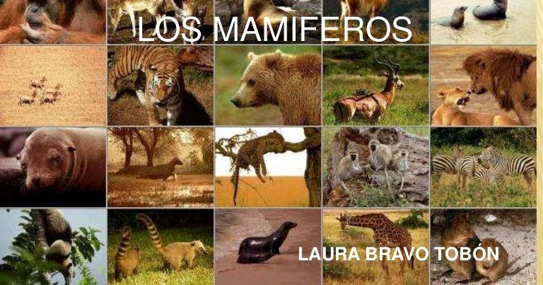 MAMIFEROS