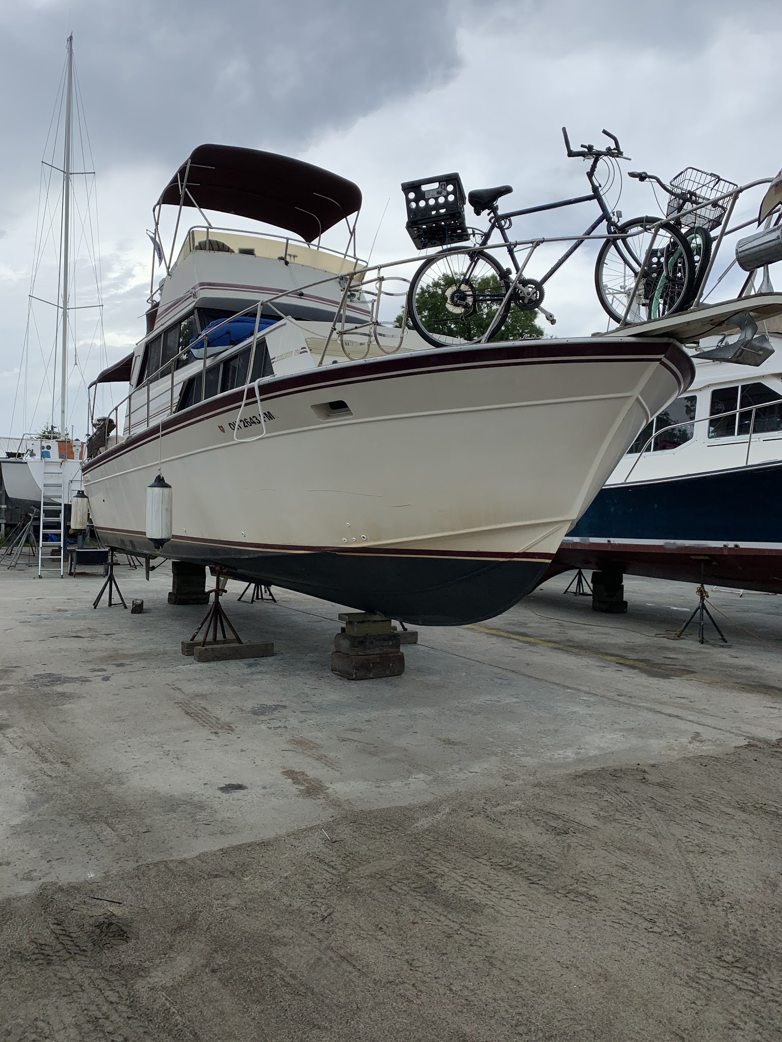 Aquaholic: 6/7/21 - Hanging in Darien at Two Way Fish Camp to ensure ...