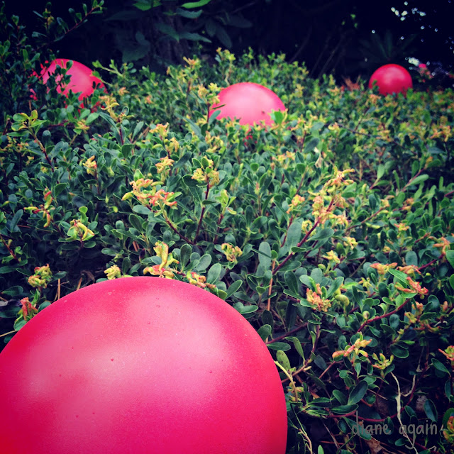 Diane Again: Red Round Things