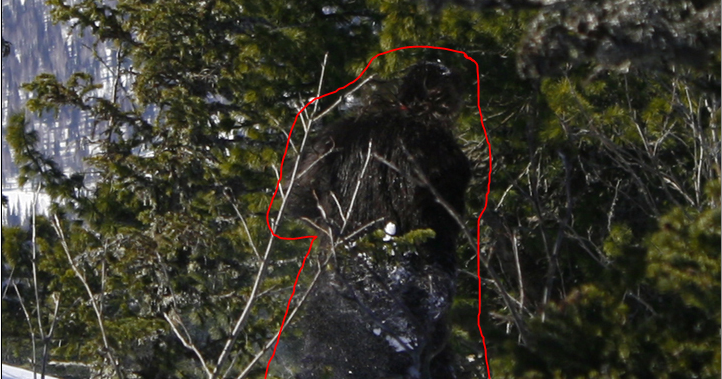 RMSO Bigfoot: Russian Yeti Appears Wounded