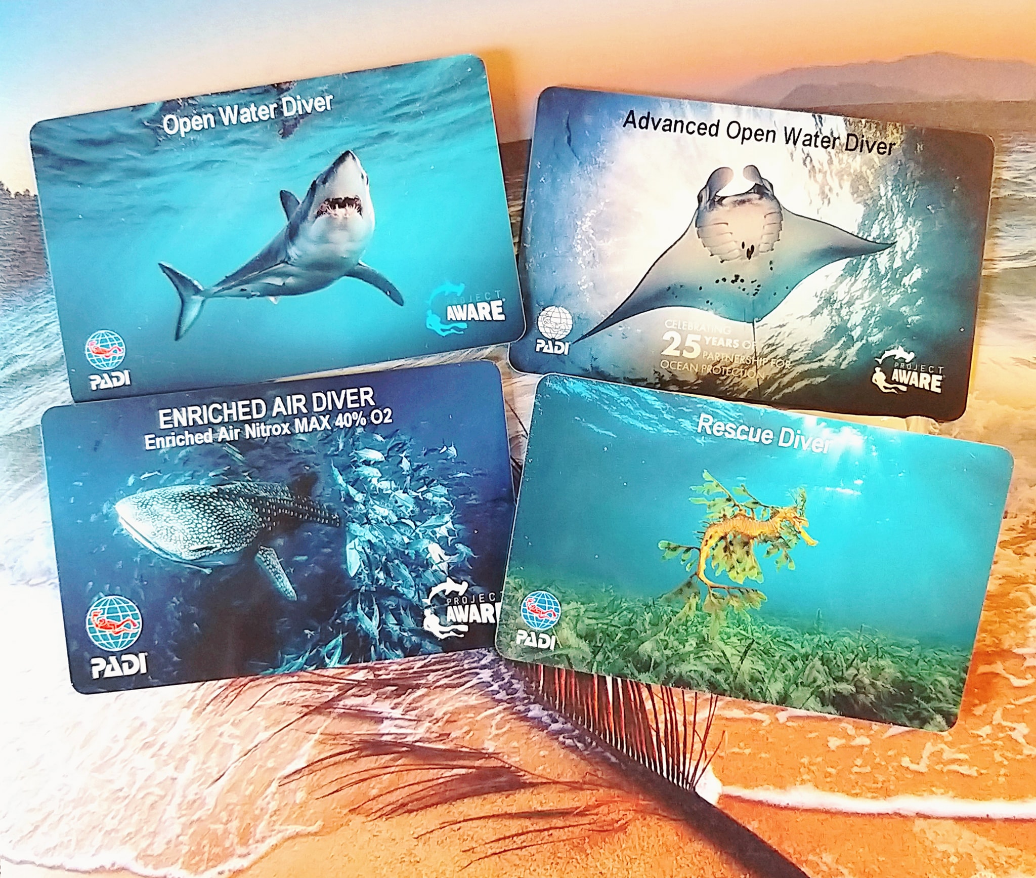 I am who I am: My Dive Card Collection