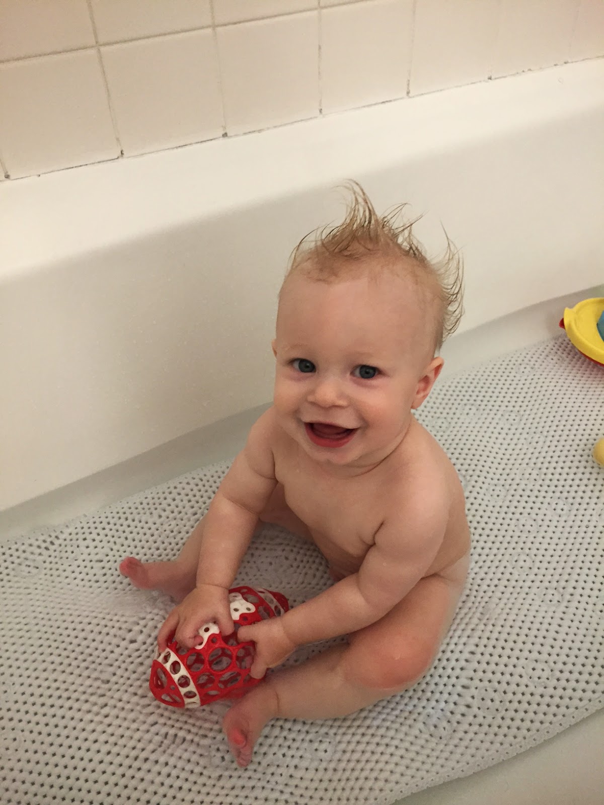 The High Gravity Life