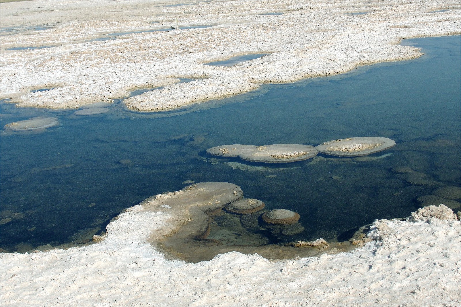 Caminantes del Desierto: EL SALAR DE LLAMARA