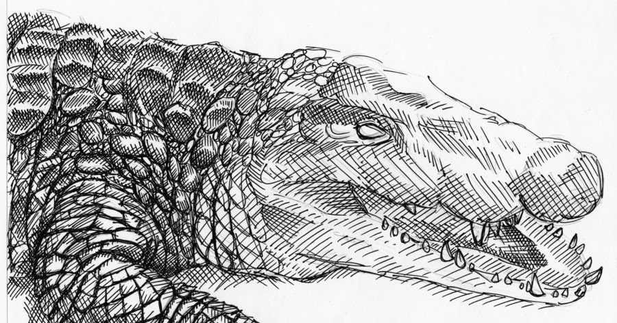 The Lectern: 'Notes of a Crocodile' Qiu Miaojin