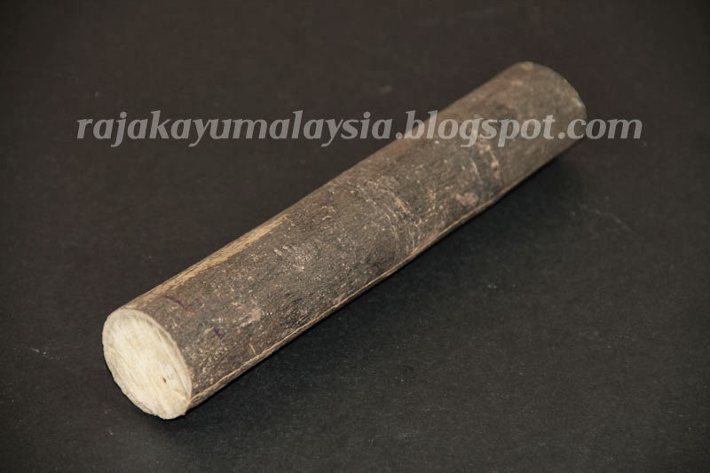Raja Kayu Malaysia: Kayu Tas (kayu hujan panas/God Mountain Stick) for Sale