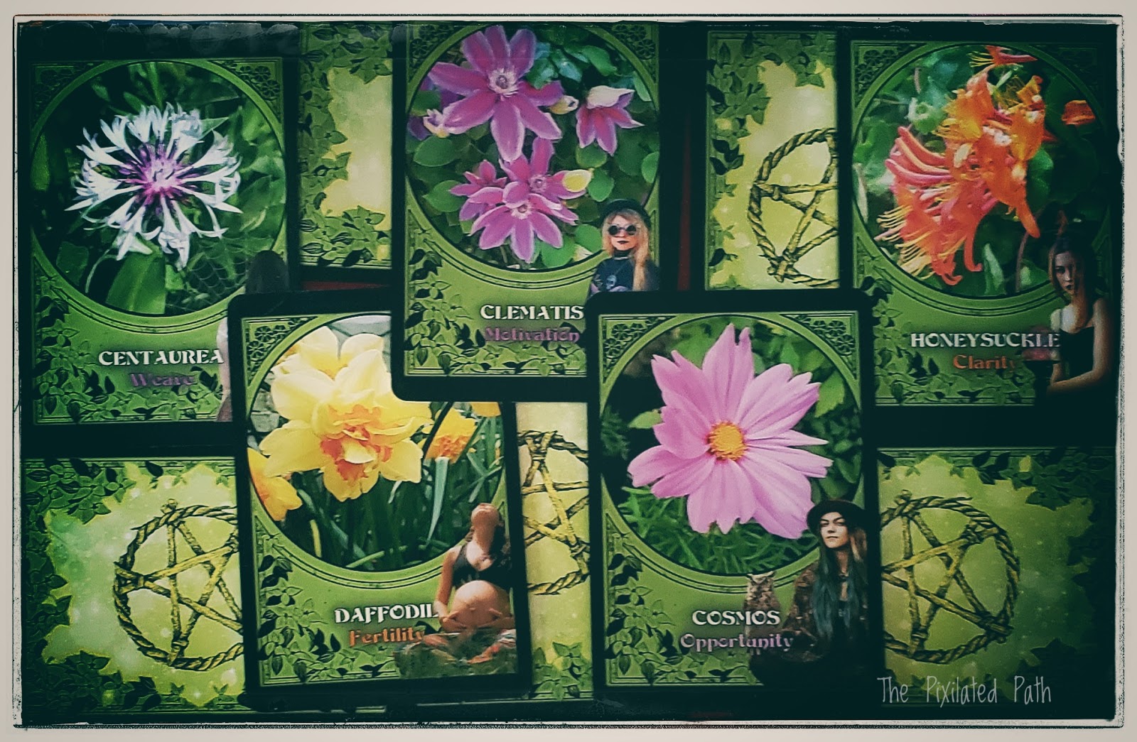 Pixie Card Review: Flower Magic Oracle Cards by Rachel Patterson