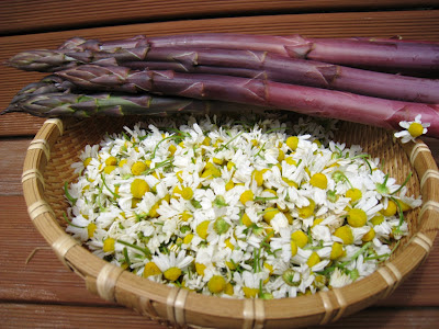 Life in Rural Japan: Spring Bounty