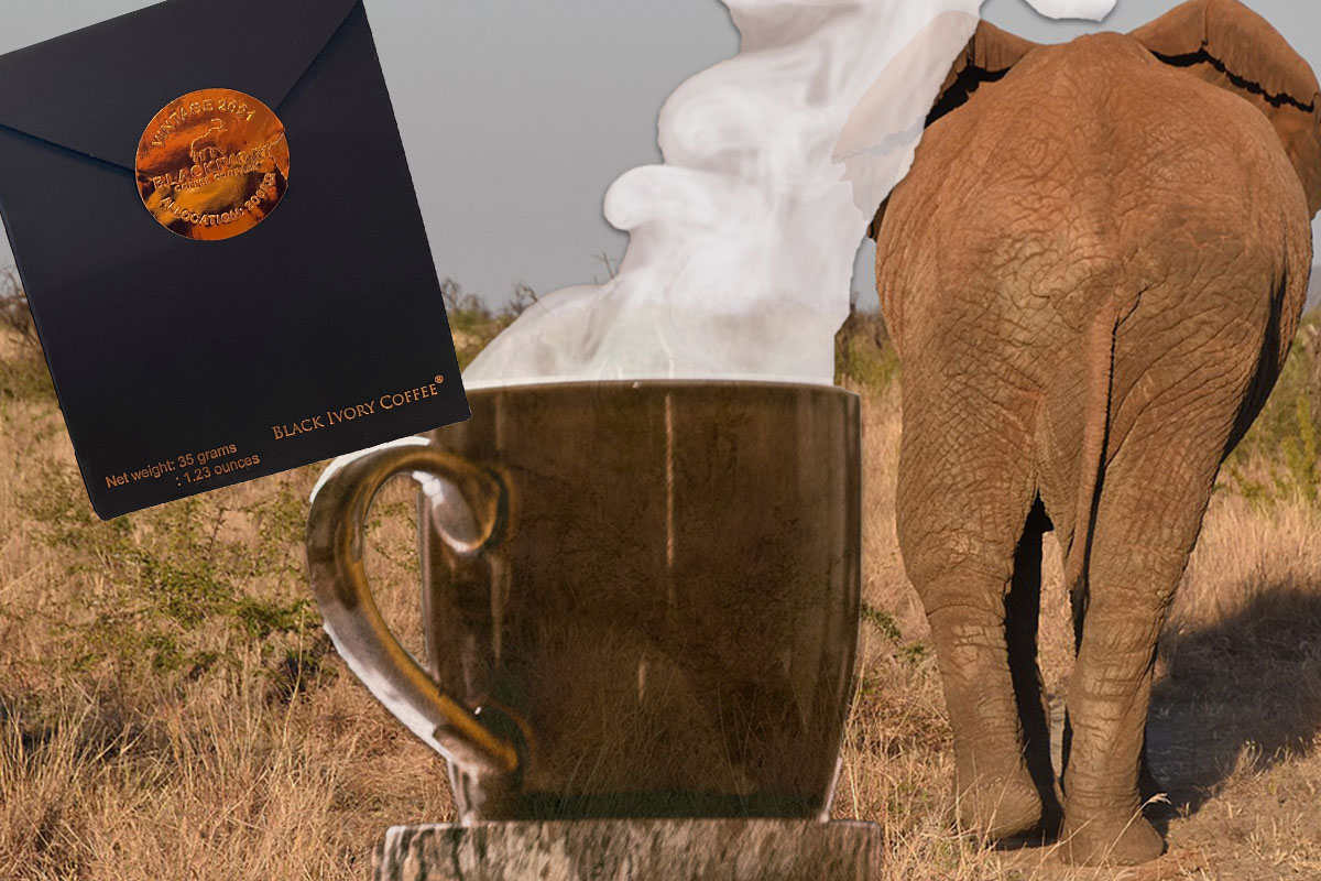 The birth of Modern Man: BLACK IVORY COFFEE: THE WORLD’S MOST EXPENSIVE ...