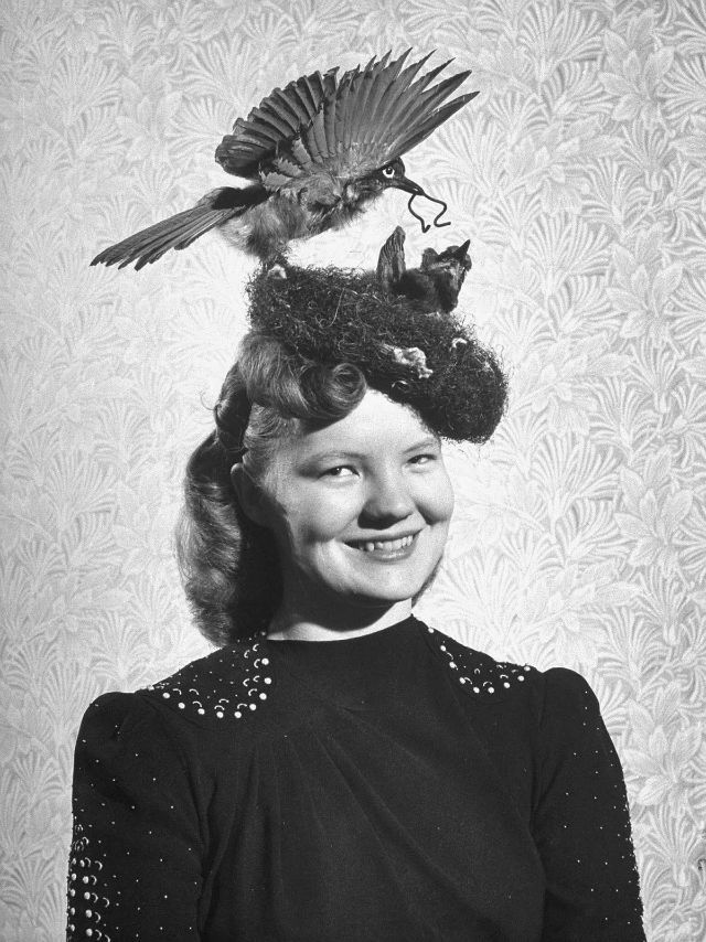 Vintage Portraits of Women Wearing Bird Hats From the Early 20th ...
