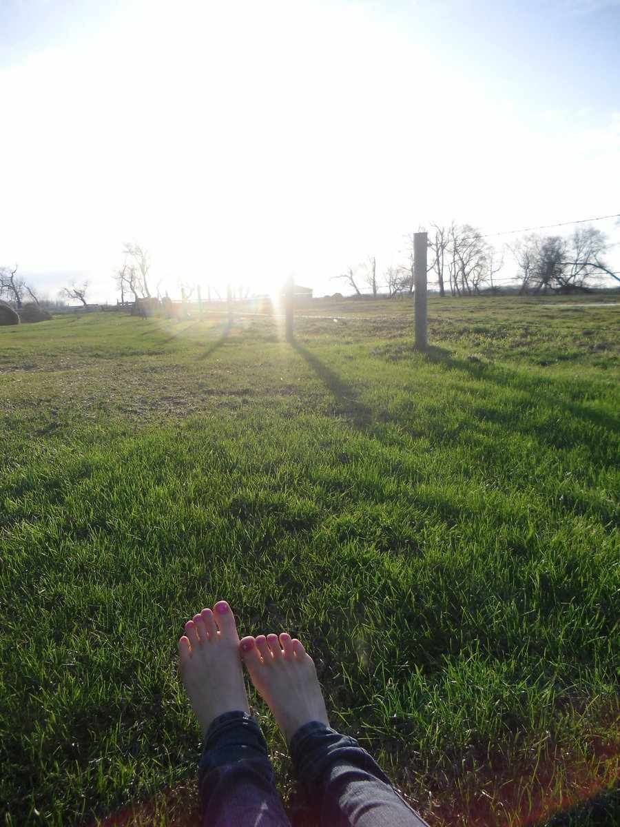 FeetXpress - A Dutch Foot Blog: Farm feet - part 2