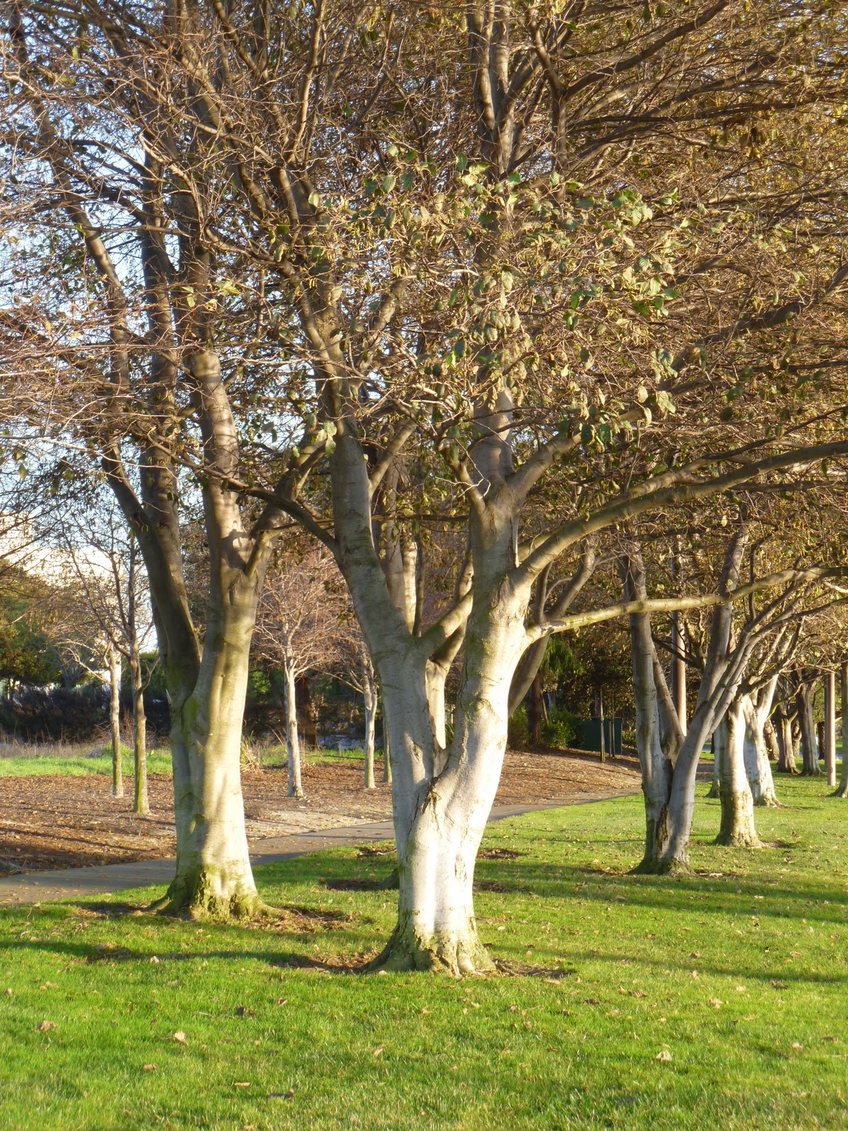 By A Thread: EXPERIENCING THE NATURAL WORLD