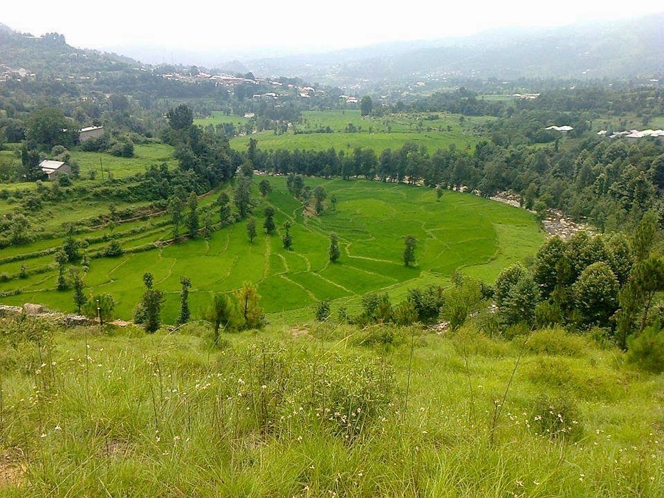 Konsh Valley, Battal, Mansehra-Hazara, KPK, Pakistan - Exploring ...