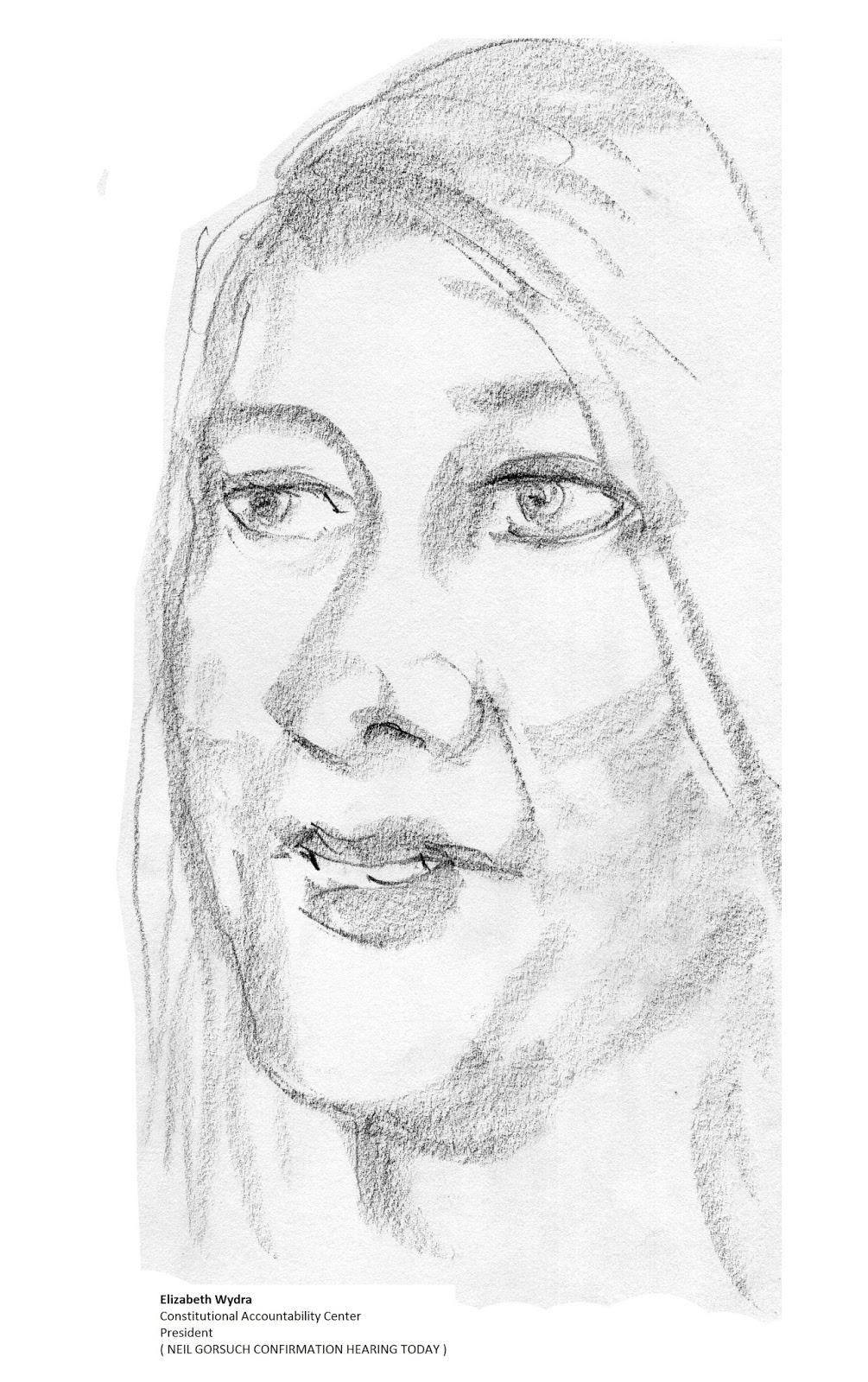 daily drawings: Elizabeth Wydra