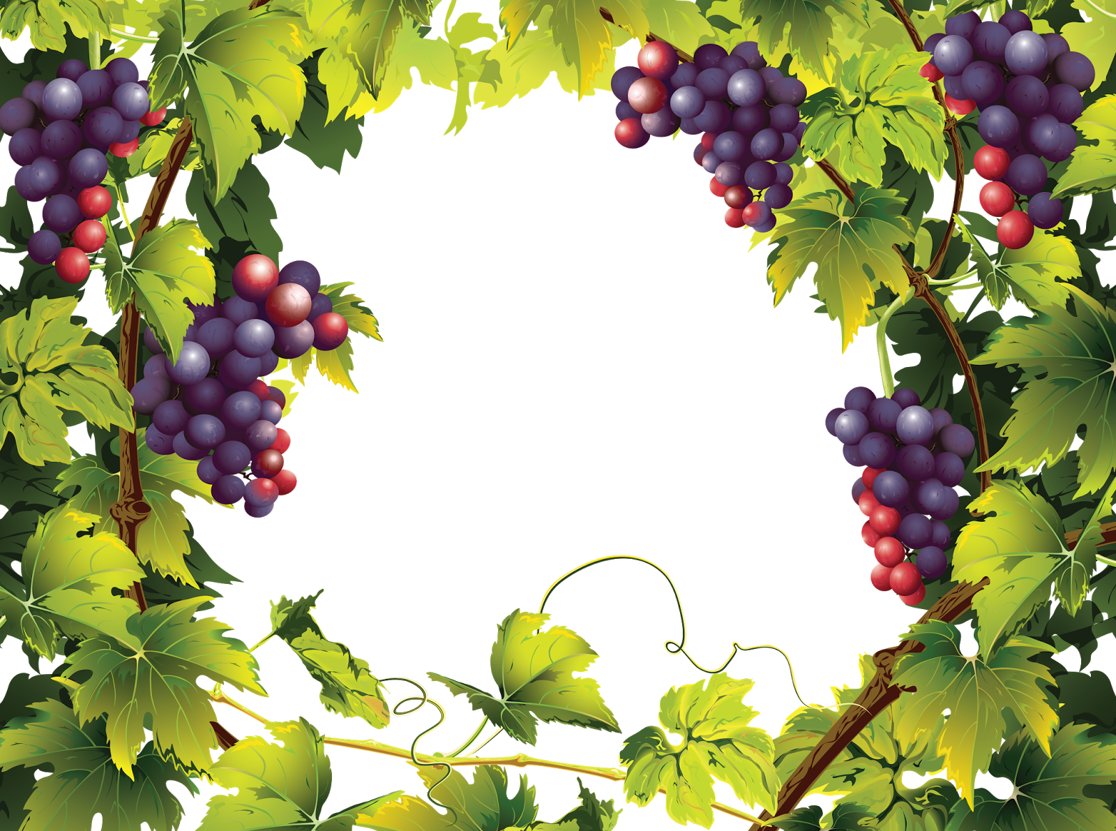 ForgetMeNot: grapes frames