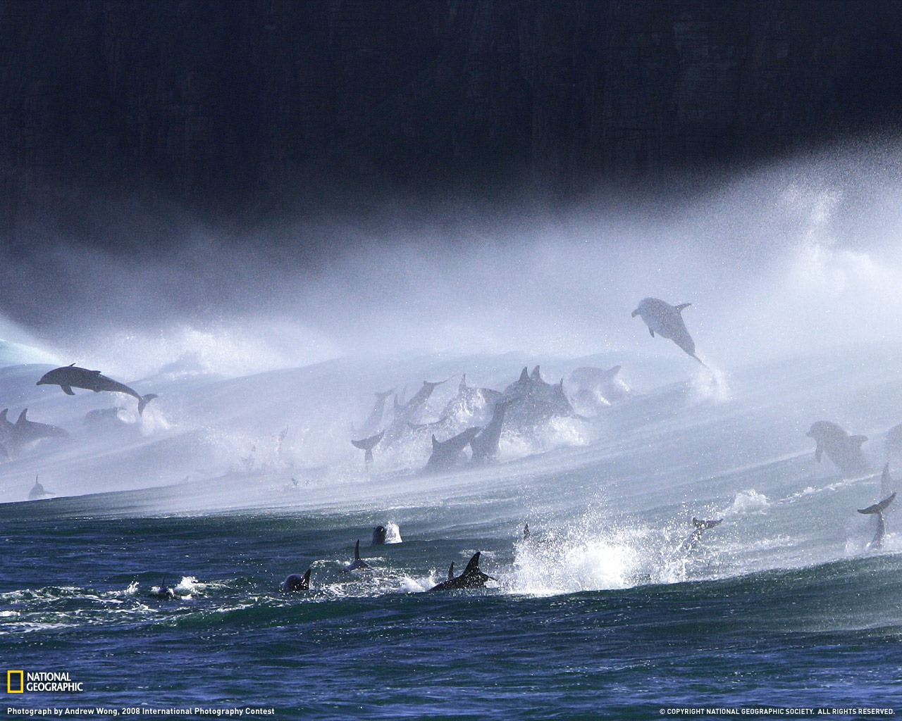 Gift of Nature: Desktop Wallpapers