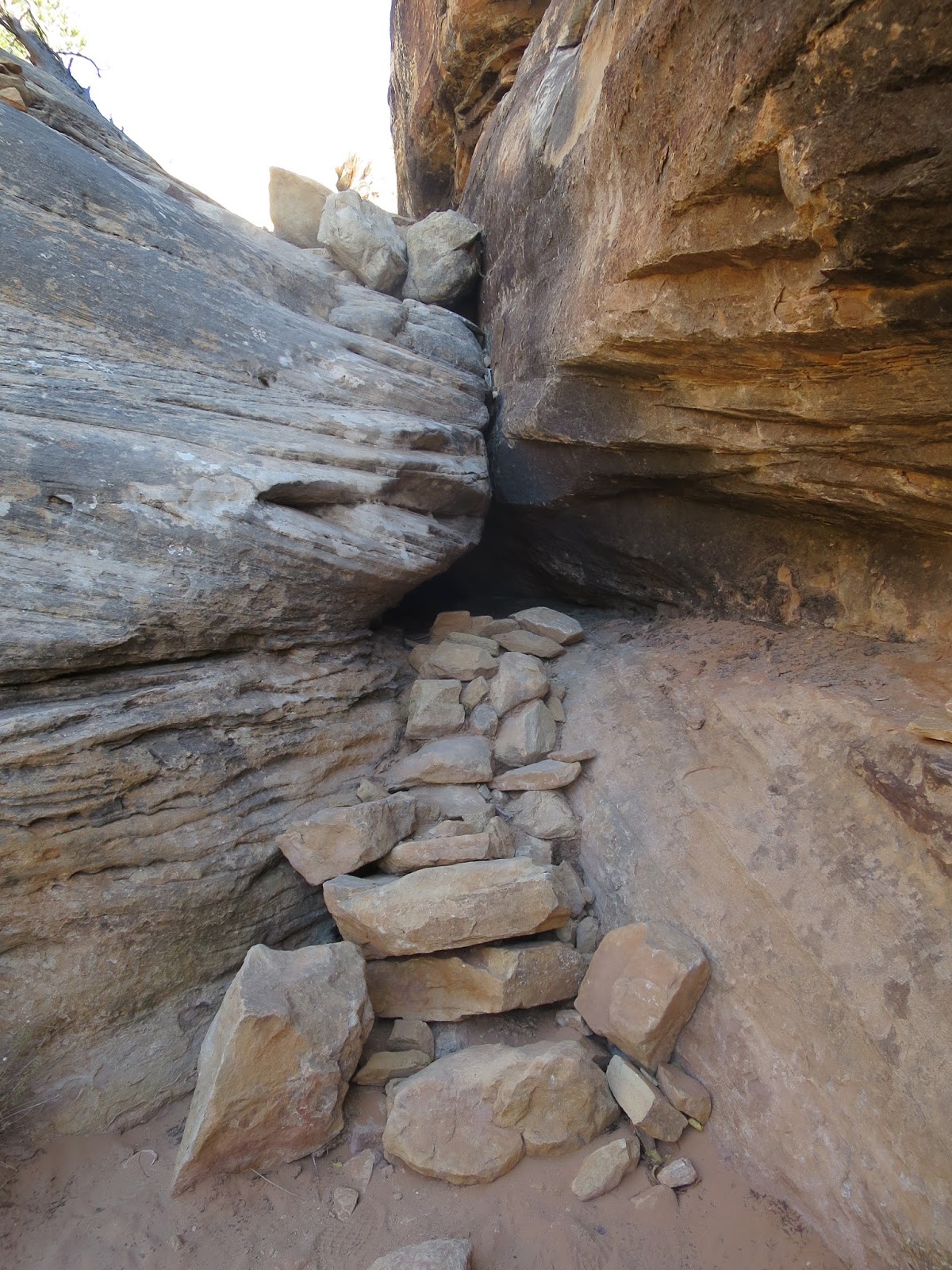 Rambling Hemlock: Grabens in the Needles