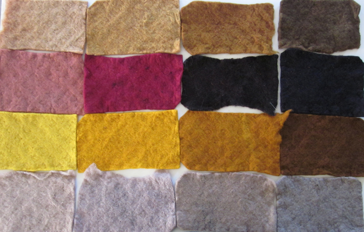 Jennifer E Moss: Natural Dye/Synthetic Dye Experiments