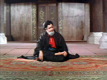 Sejarah Syekh Siti Jenar | garis sejarah